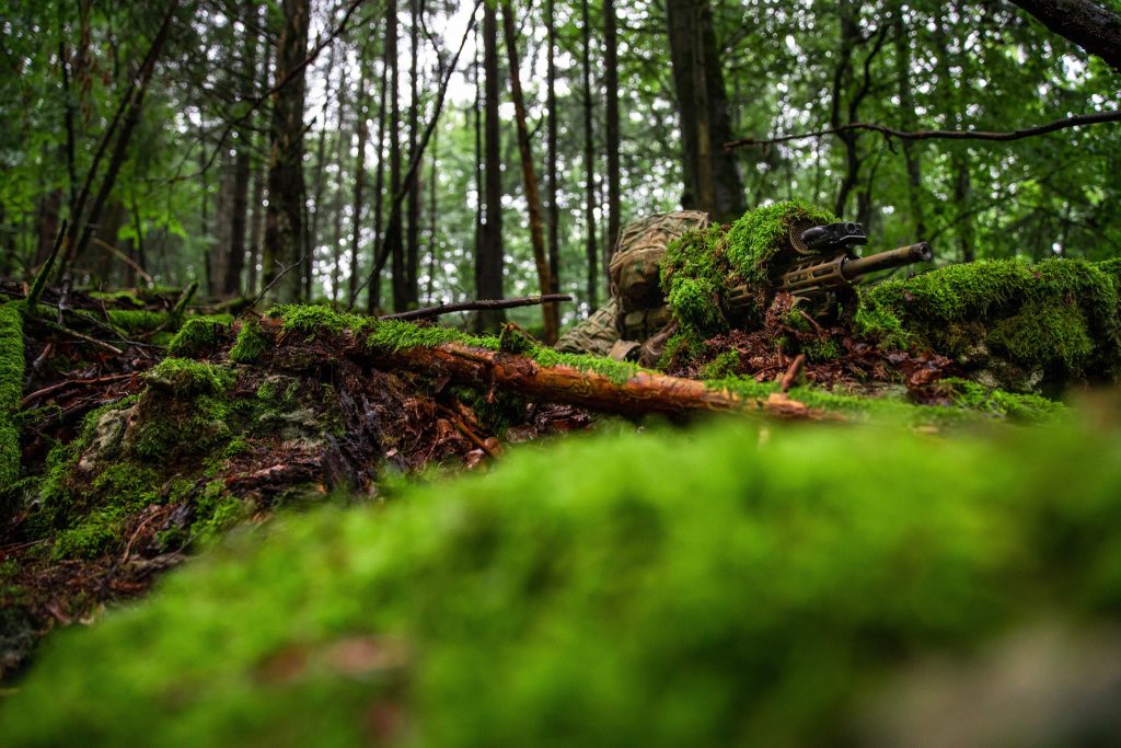 Friday Foto - Strikehold.net