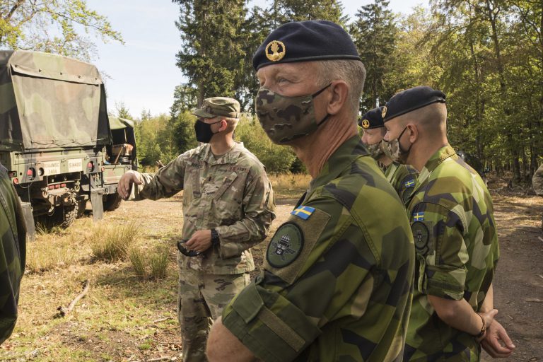 Sweden Introduces New Copyright Protected Camouflage Pattern ...