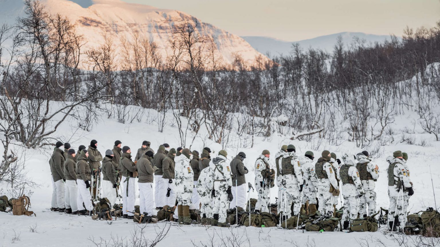 Green Berets for German Marines? - Strikehold.net
