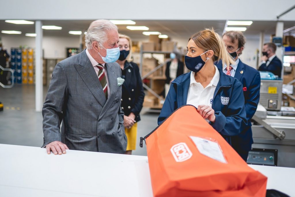 Survival - Strikehold.net